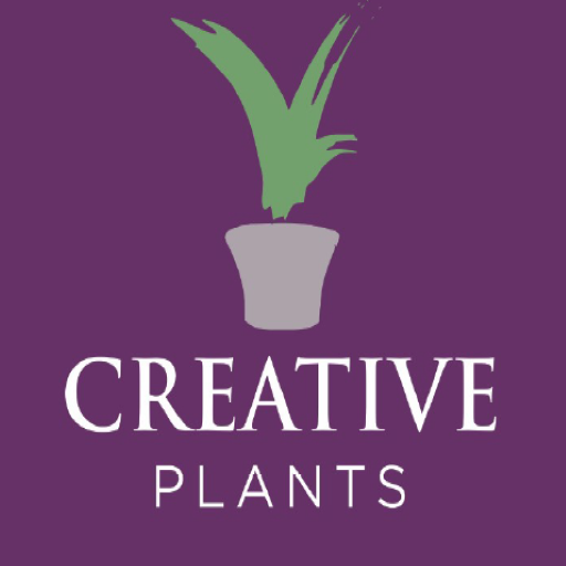 Creative Plants